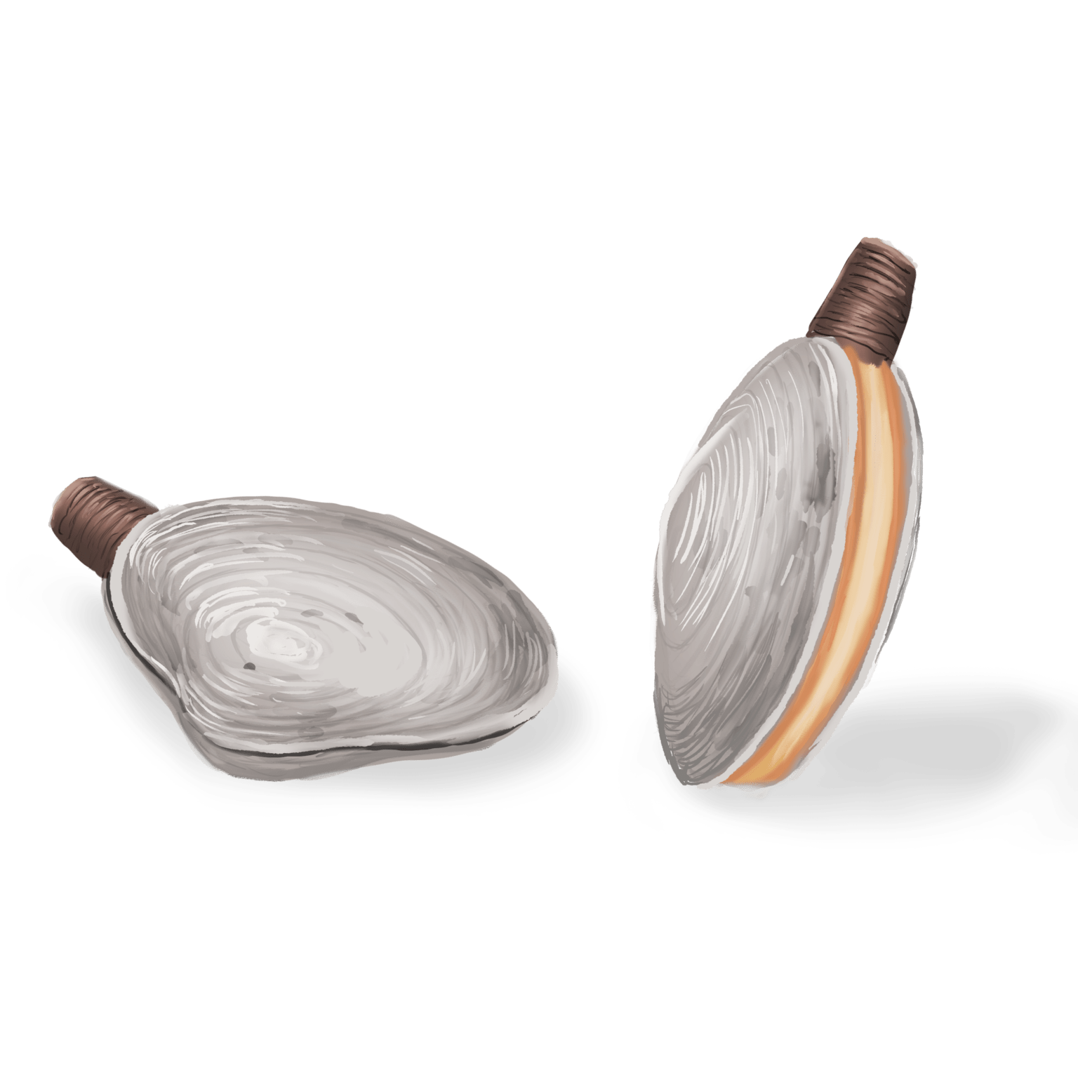 Mye commune | DE L'EAU À LA BOUCHE